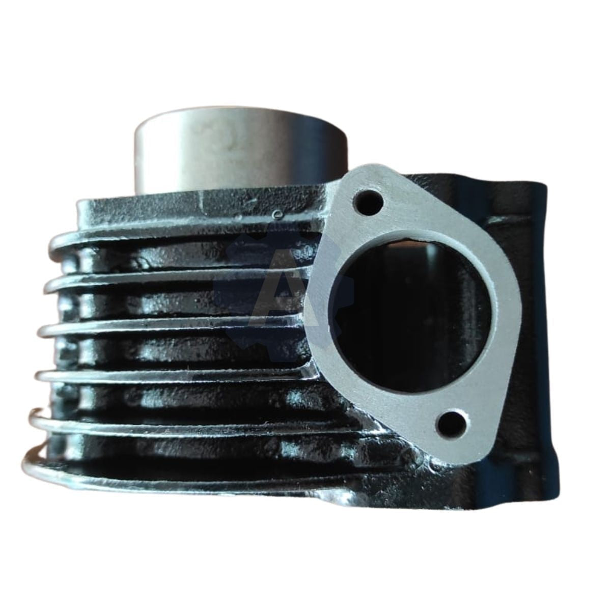 USHA Piston Cylinder Kit for Honda Activa 100 Old Model | Hero Pleasur